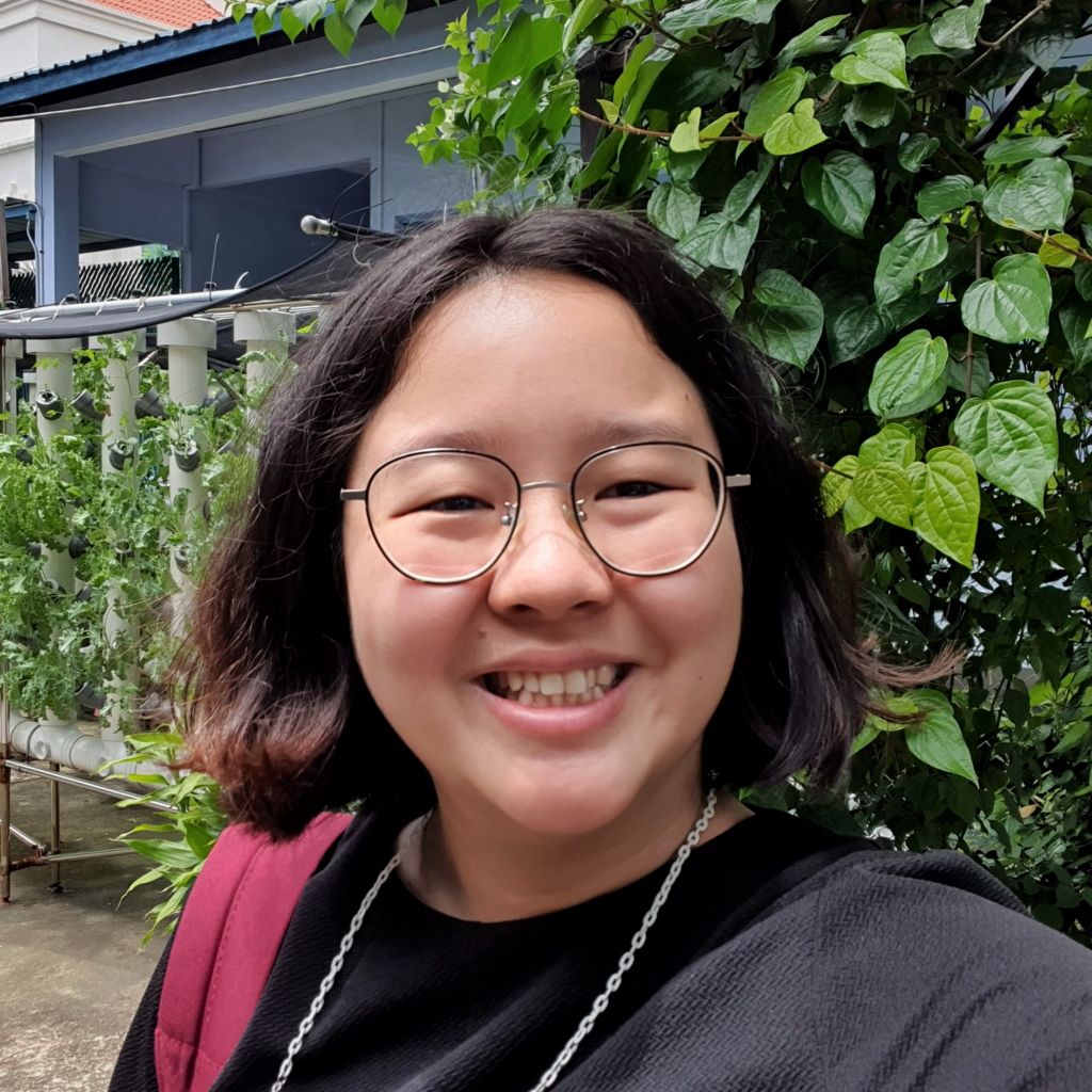 Testimonials – Southeast Asian Studies