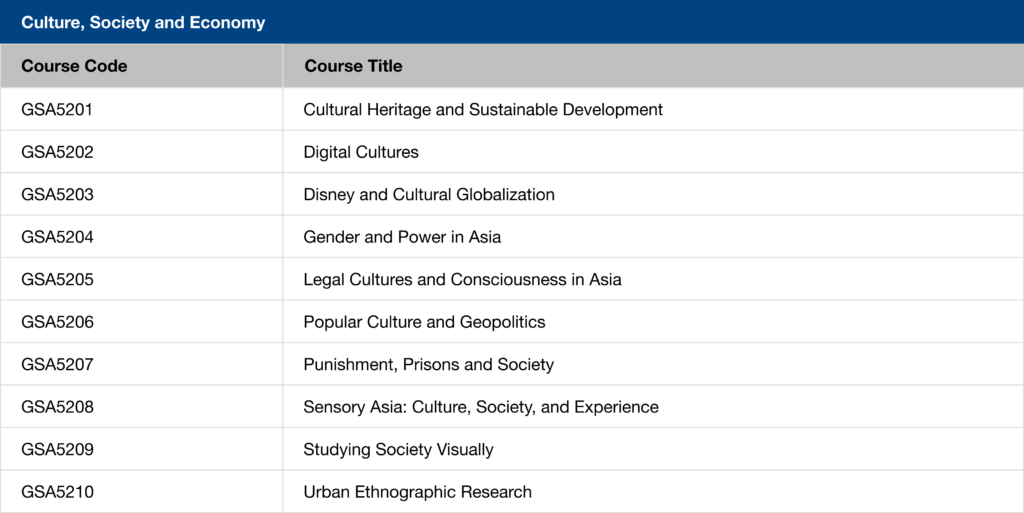 Graduate Coursework Programme Master of Arts Global Sociology and ...
