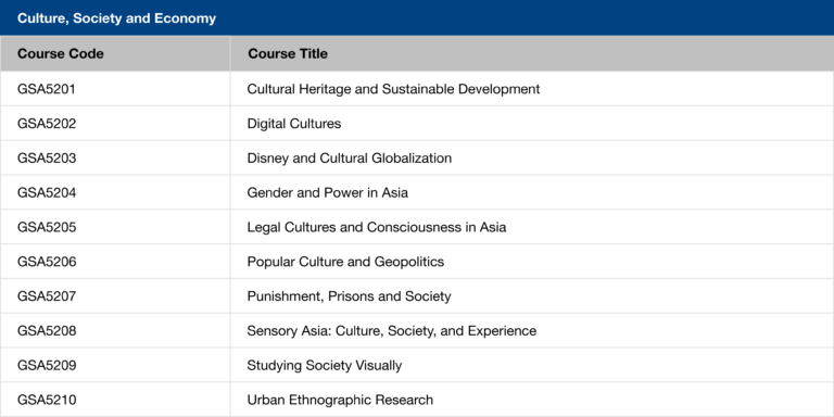 Graduate Coursework Programme Master of Arts Global Sociology and ...