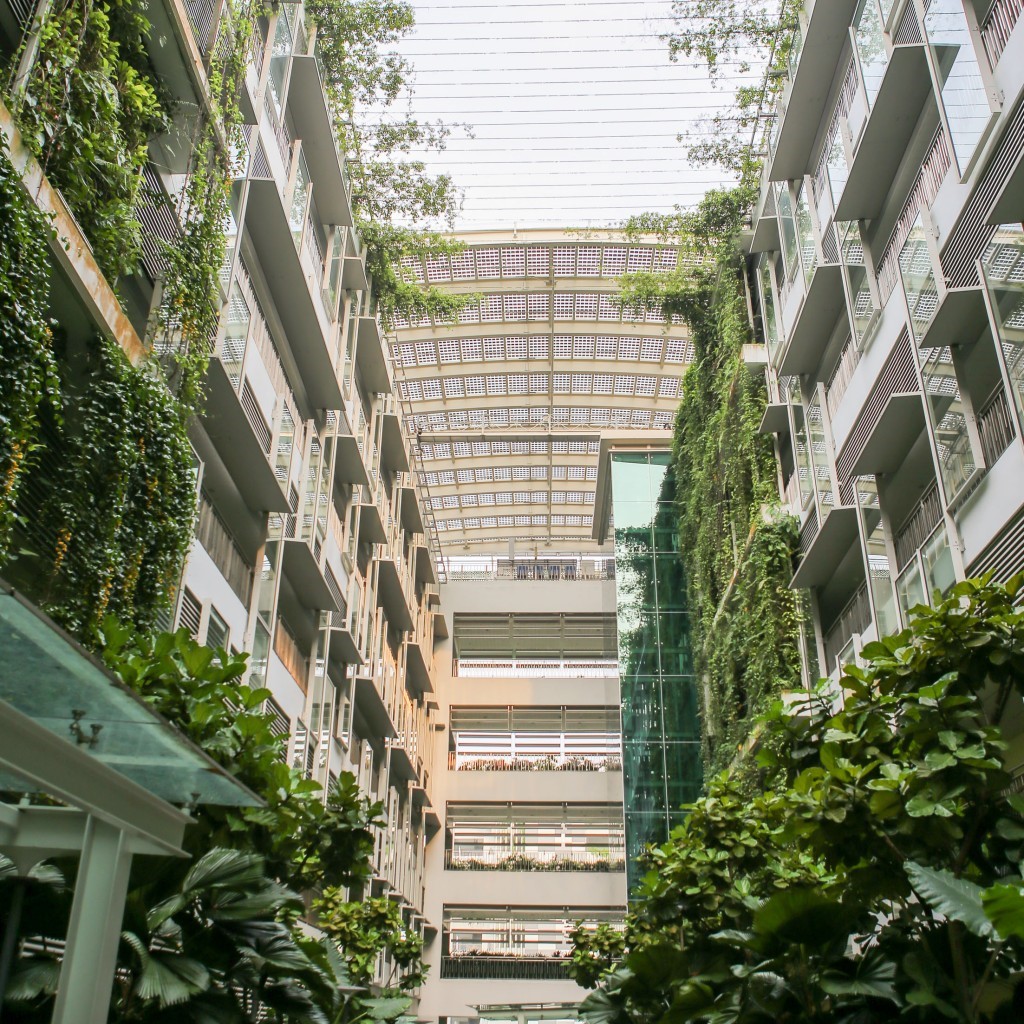 Singapore’s Urban Development and Ecosystem Services – Singapore ...