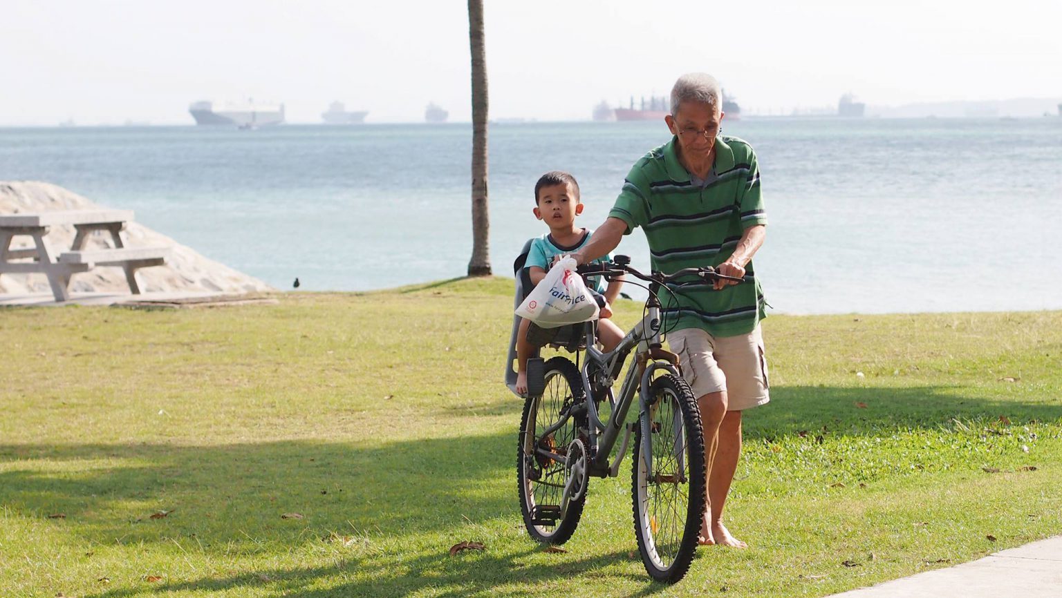 Interdependence in Asian Families: The Singapore Case – Singapore ...