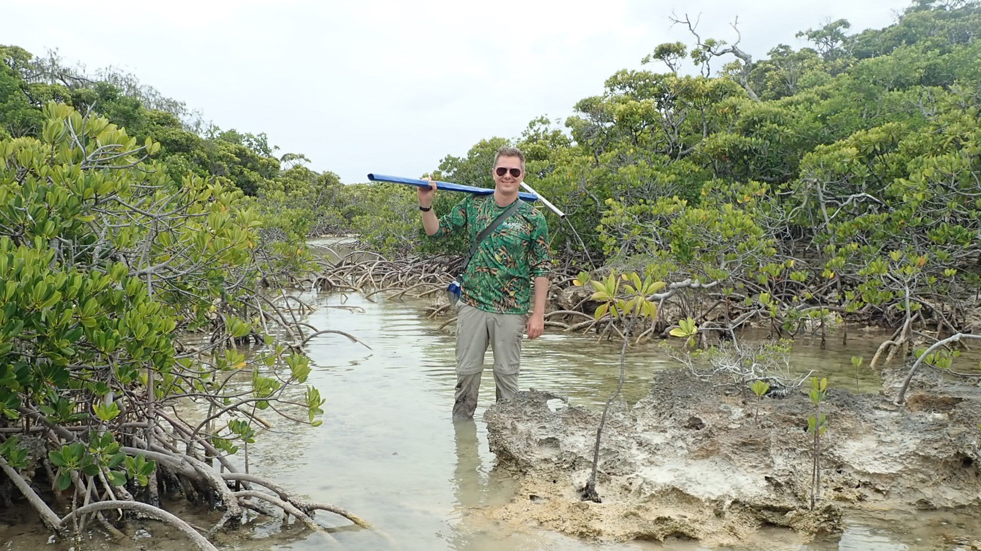 Assoc Prof Dan Friess: Saving our mangroves for planet-saving payoffs ...