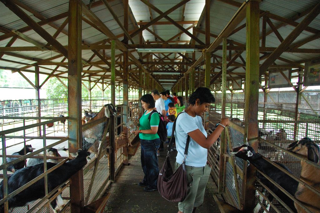 Singapore: Making Space for Farming – Singapore Research Nexus