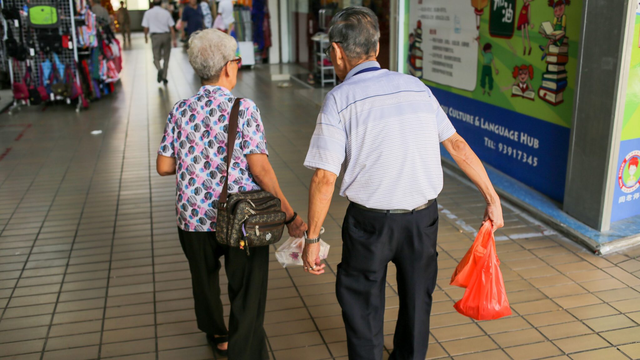 Introduction to Singapore Ageing: Issues and Challenges Ahead ...