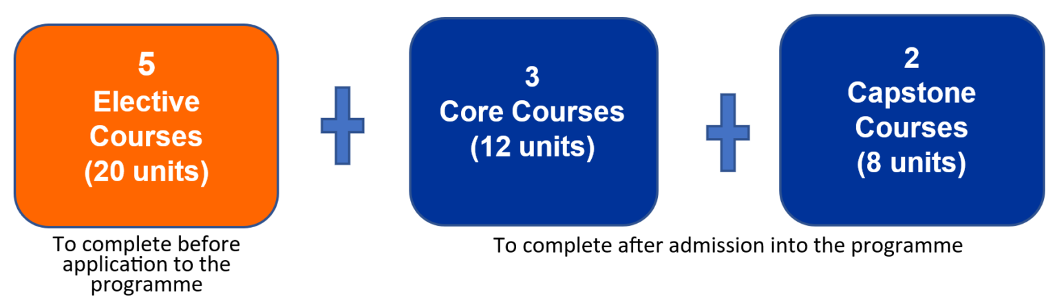 About the Master of Social Work (by coursework) – Department of Social Work