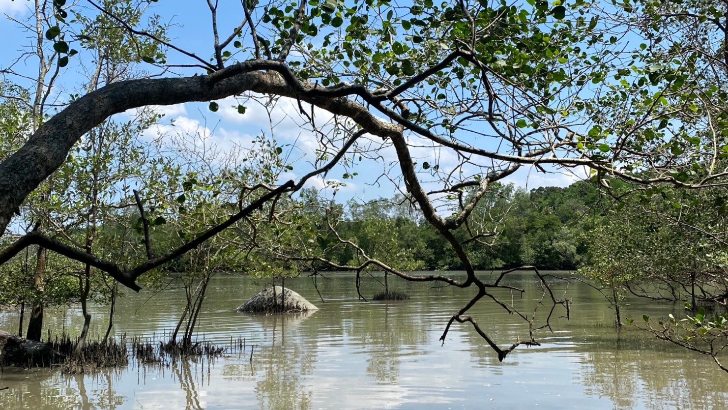 Conserving Coral Reefs through Regional Collaboration and Research ...